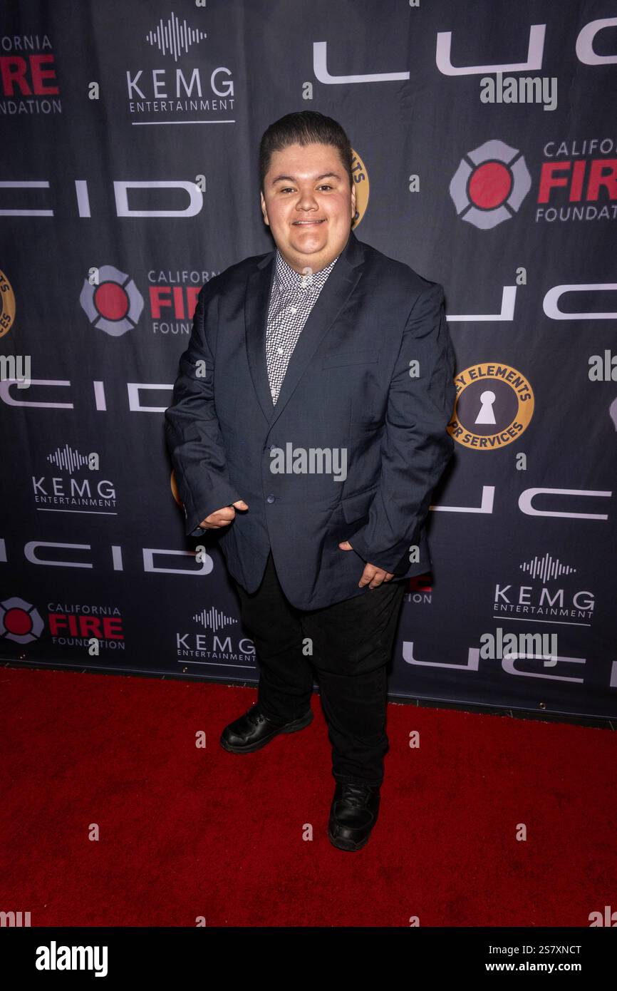 Los Angeles, USA. 19th Jan, 2025. Actor Jovan Armand attends Pre-Grammy ...