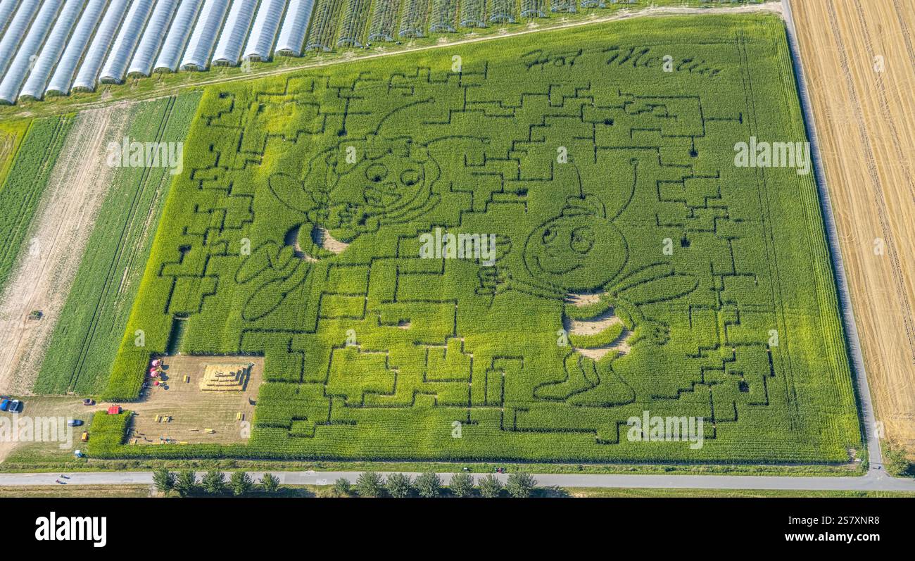 Aerial view, meadow and field with pattern and artwork Maya the Bee and ...