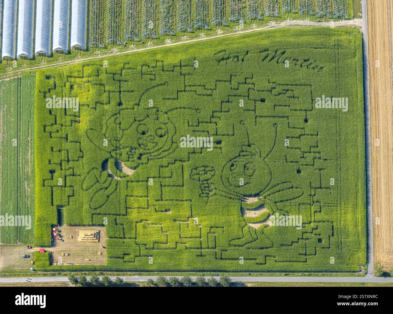 Aerial view, meadow and field with pattern and artwork Maya the Bee and ...