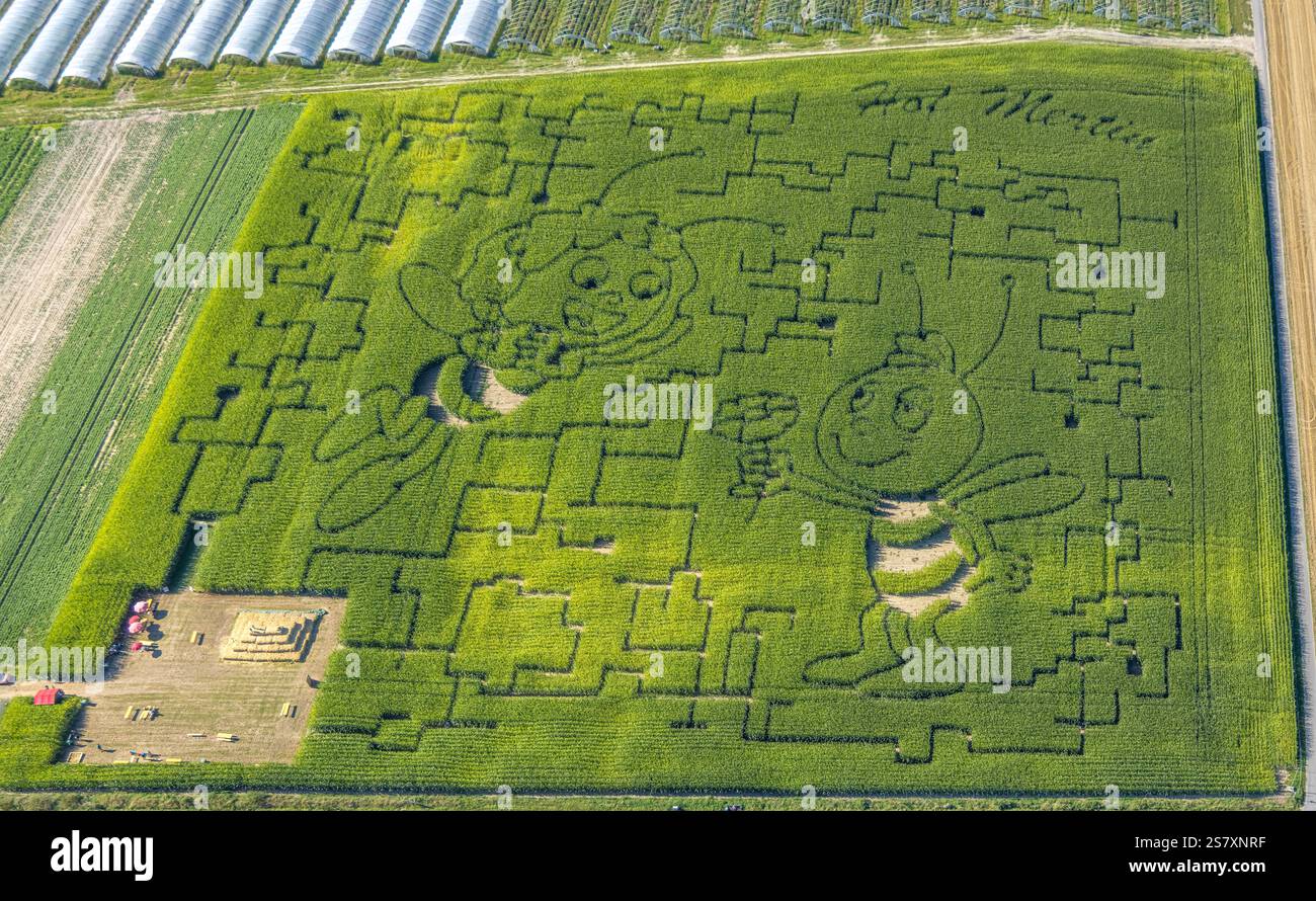 Aerial view, meadow and field with pattern and artwork Maya the Bee and ...