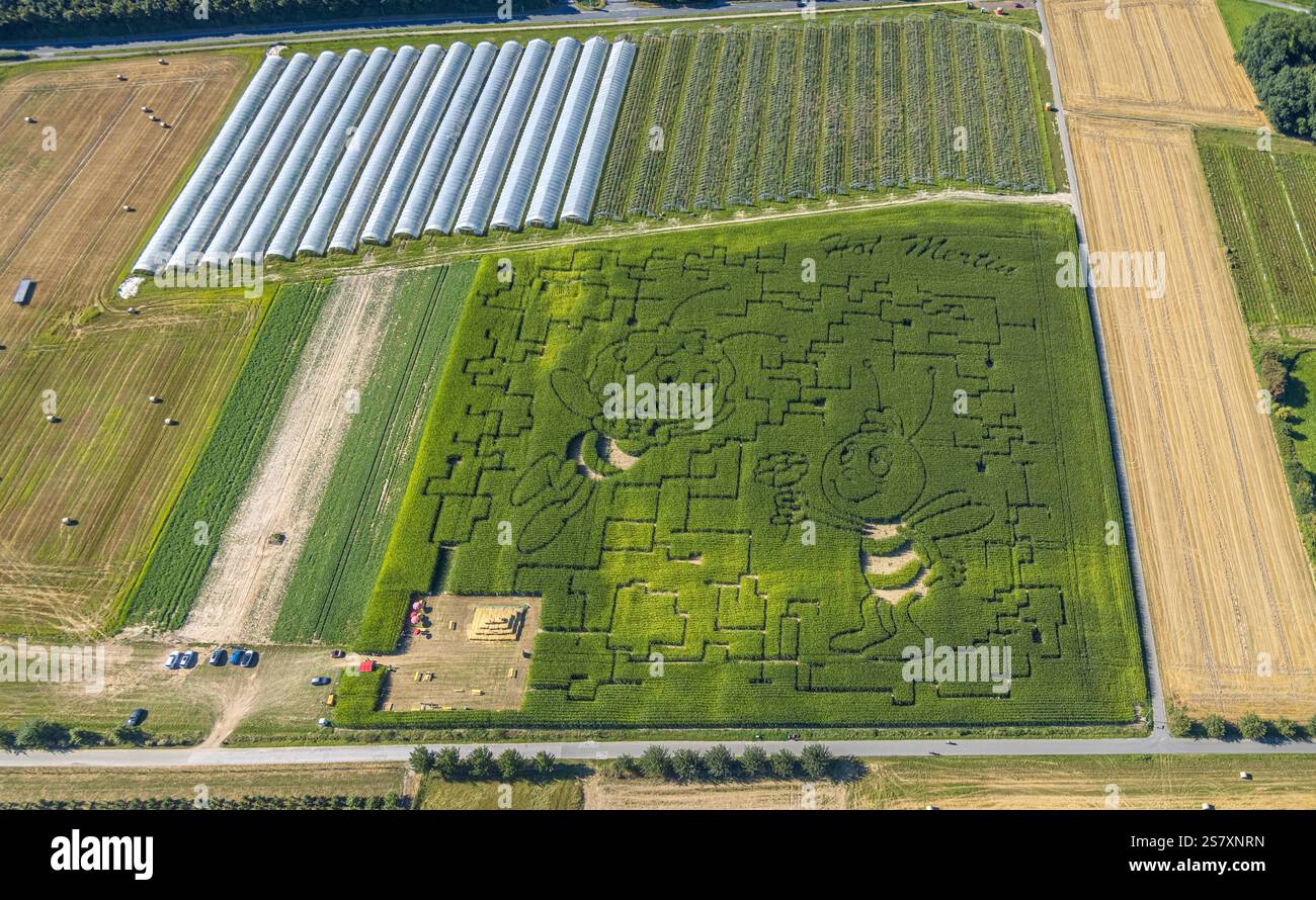 Aerial view, meadow and field with pattern and artwork Maya the Bee and ...