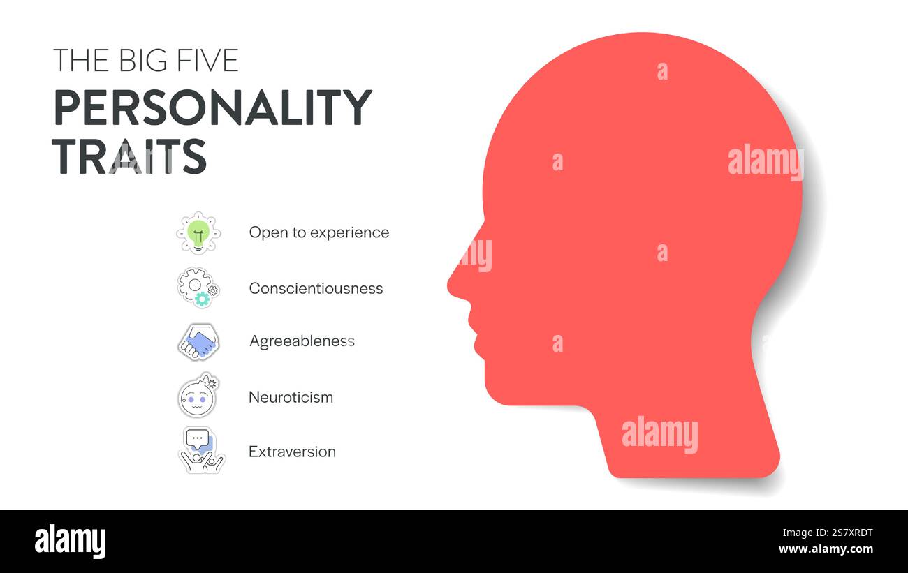 Big Five Personality Traits or OCEAN infographic has 4 types of personality, Agreeableness ...