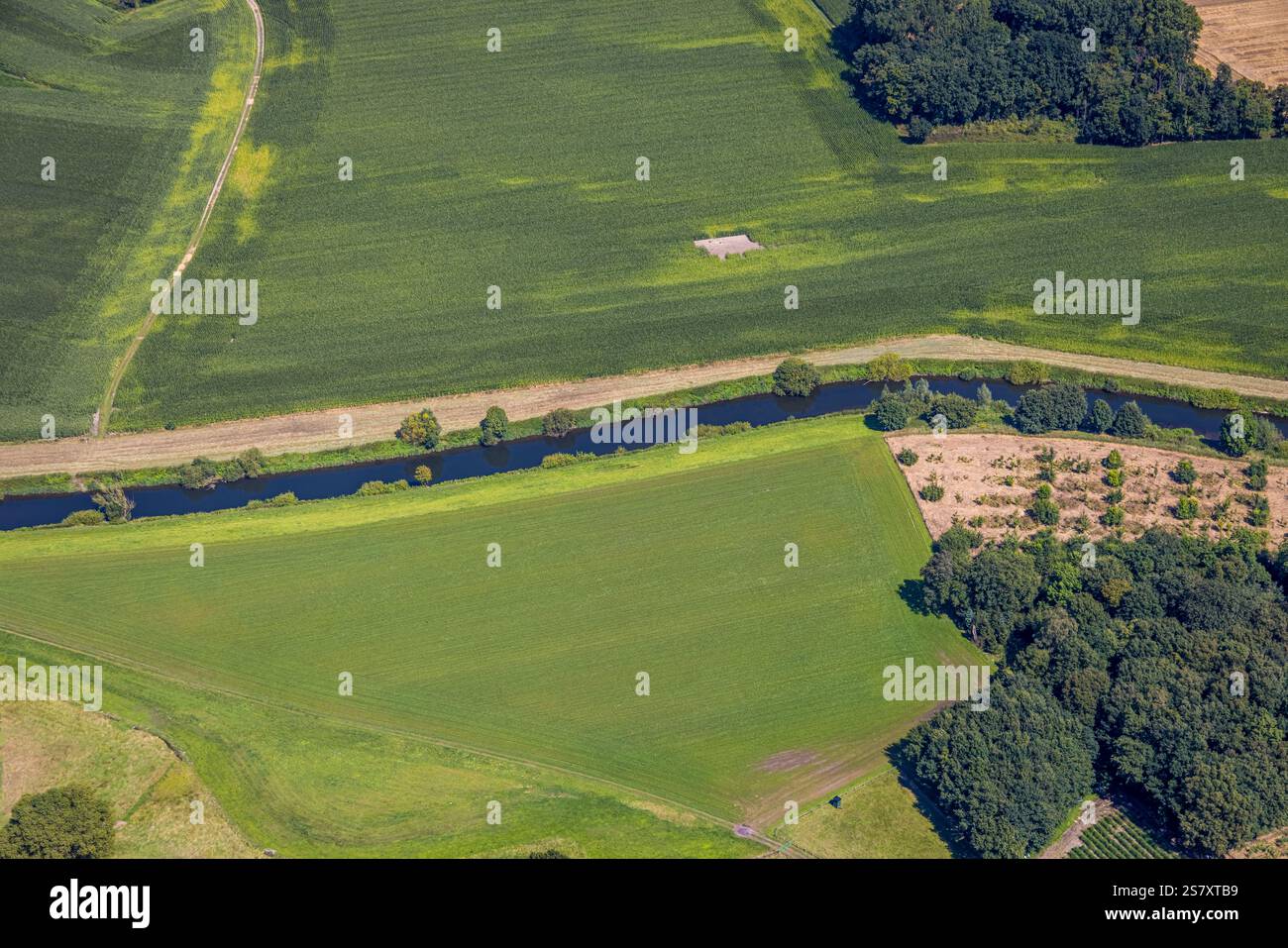 Aerial photo, Lippe renaturation, Lippe loop, course of the Lippe ...