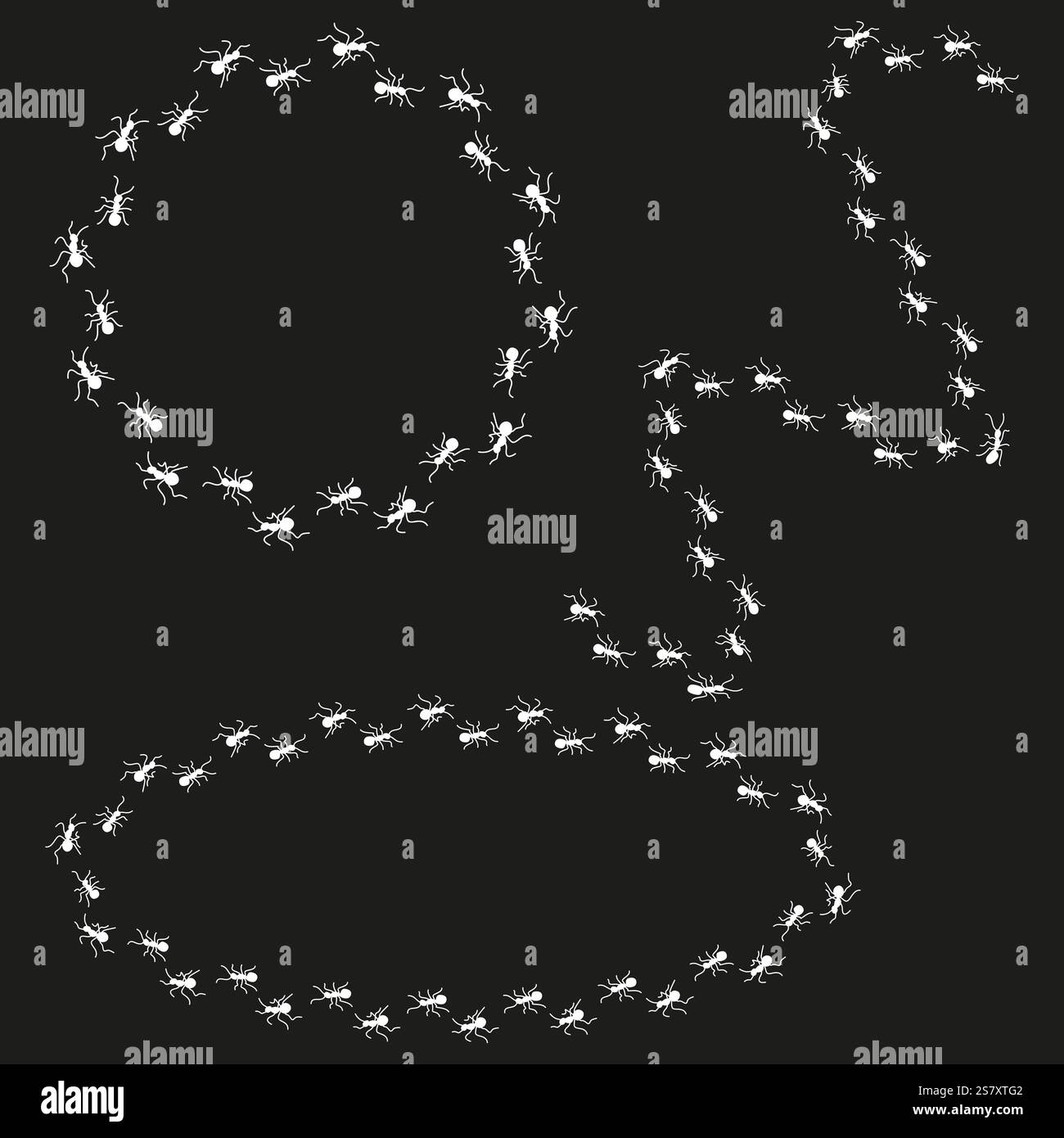 Ant trail pattern. Circular ant formation. Black insect shapes ...