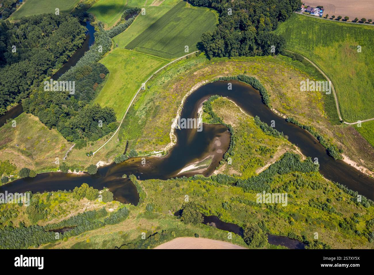 Aerial photo, Lippe renaturation, Lippe loop, course of the Lippe ...