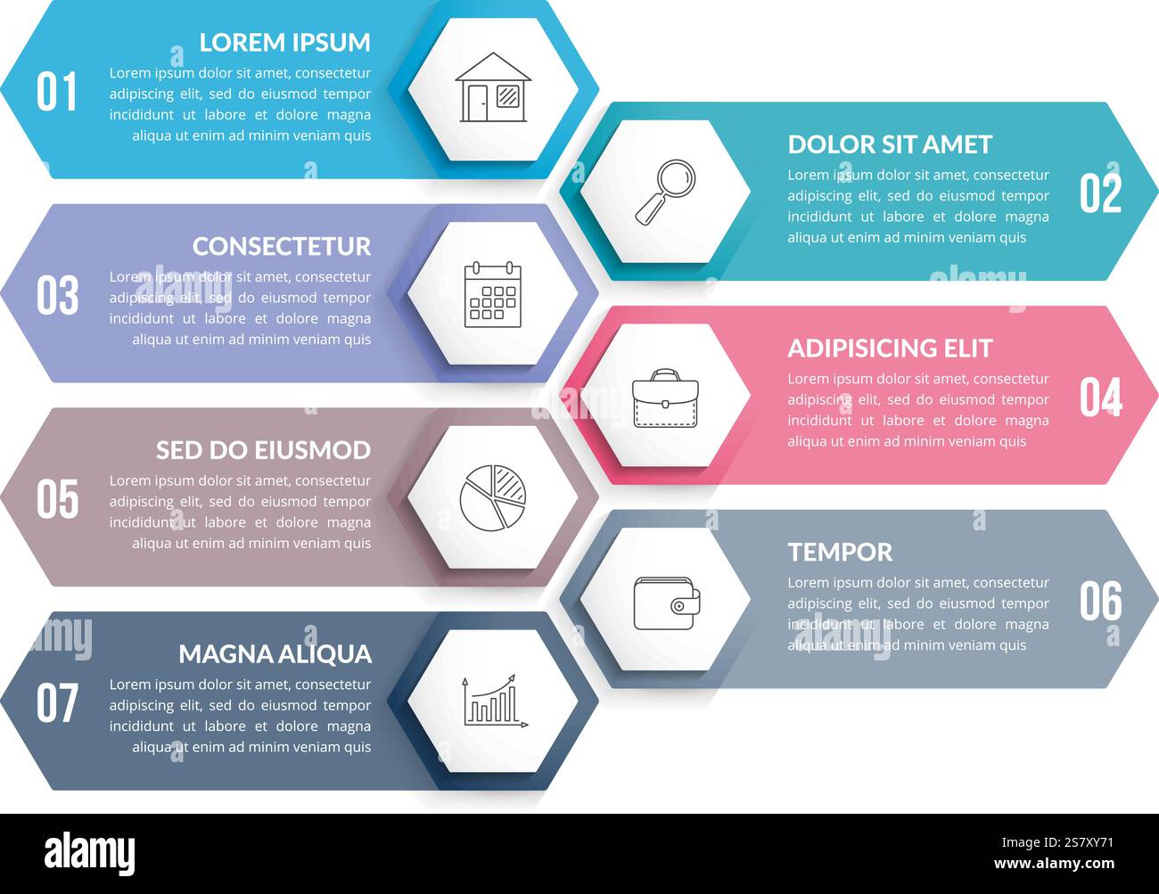 Infographic template with 7 hexagons with line icons, process chart, creative business ...