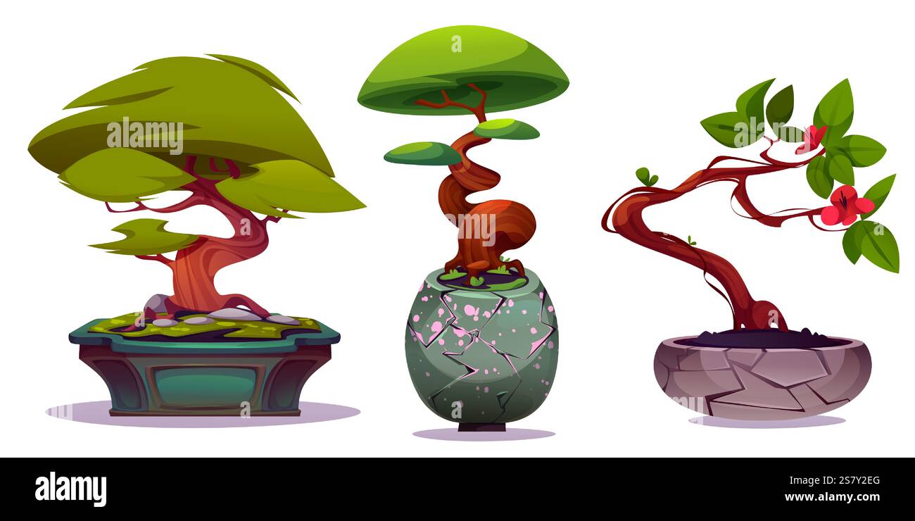 Bonsai ficus in pot Stock Vector Images - Alamy