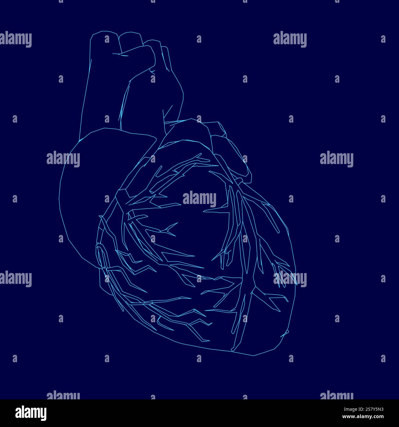 Detailed anatomical Stock Vector Images - Alamy