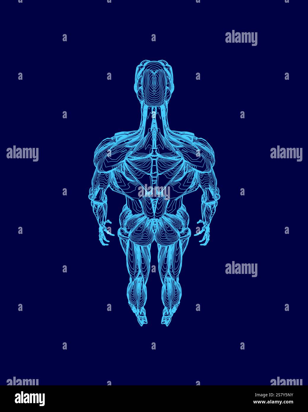 Blue drawing of a muscular man. The drawing is of a man with a muscular ...