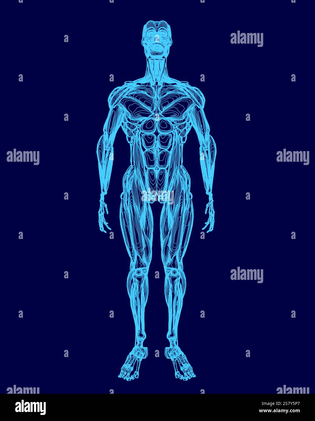 Blue image of a human body with a skeletonized appearance. The image is ...