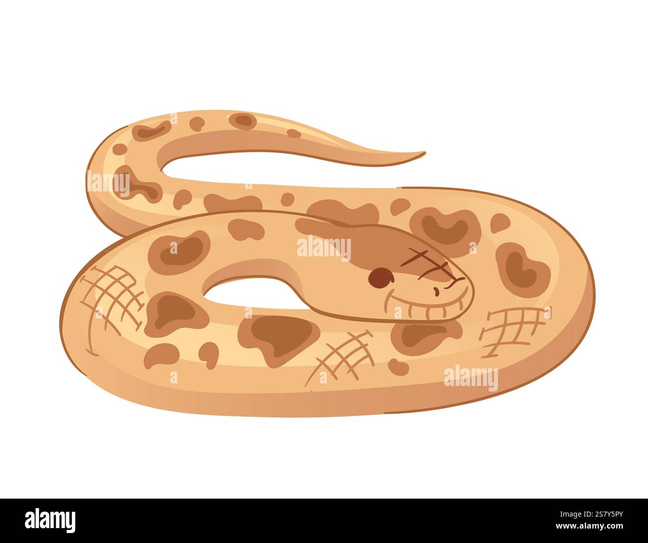 Rattlesnake coiled with detailed scales and patterns. Simple cartoon ...