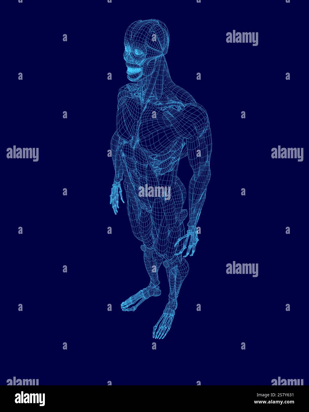 Blue skeleton is standing on a blue background. The skeleton is in a ...