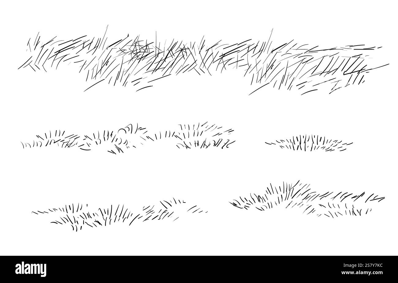 Hand drawing grass set vector illustration Stock Vector Image & Art - Alamy