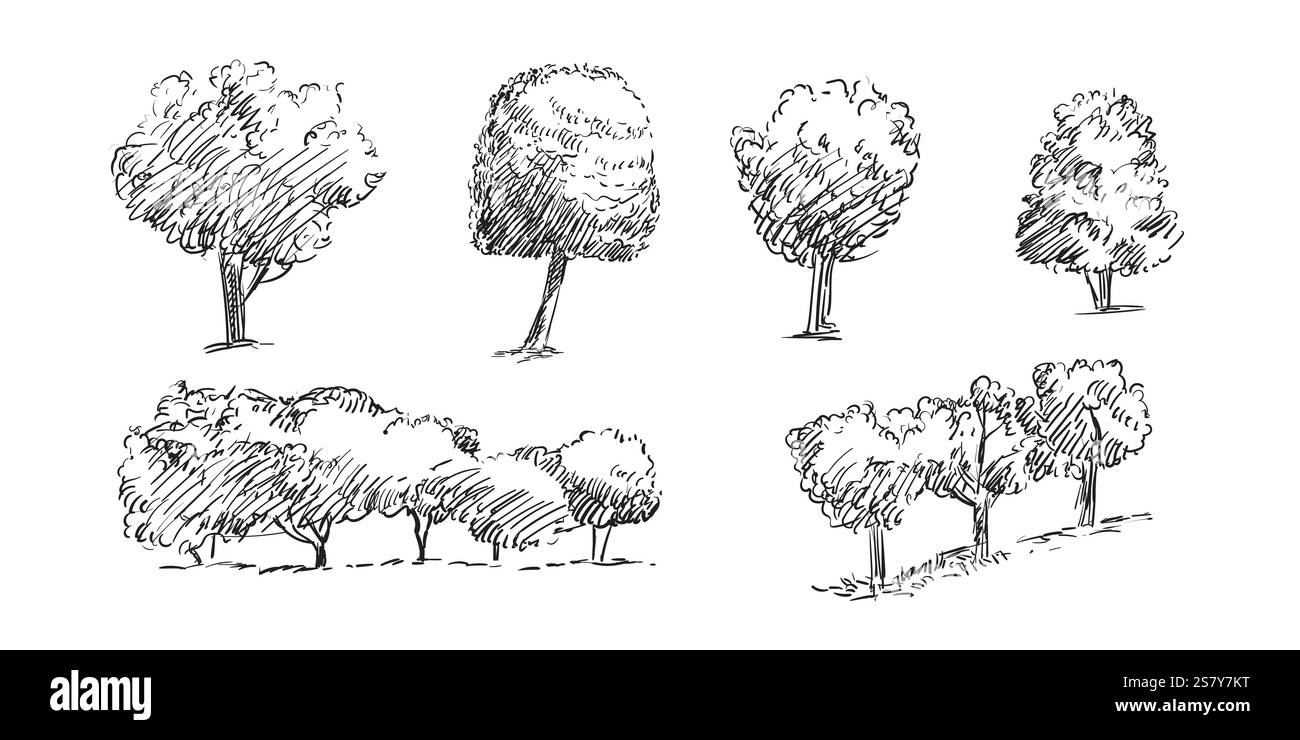 Set of hand drawing trees vector illustration Stock Vector Image & Art ...