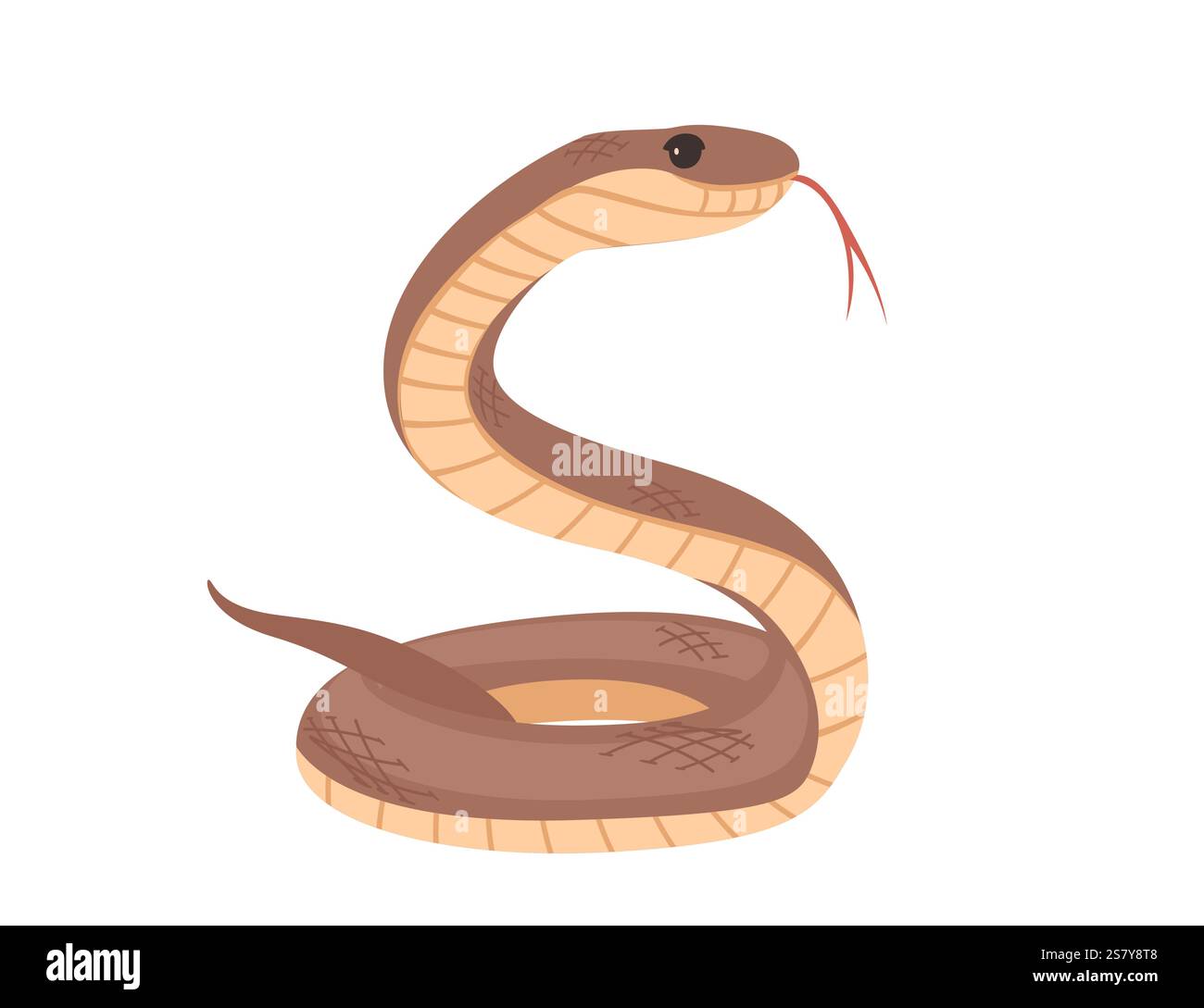 Cobra in a striking pose with detailed scales. Simple cartoon animal ...