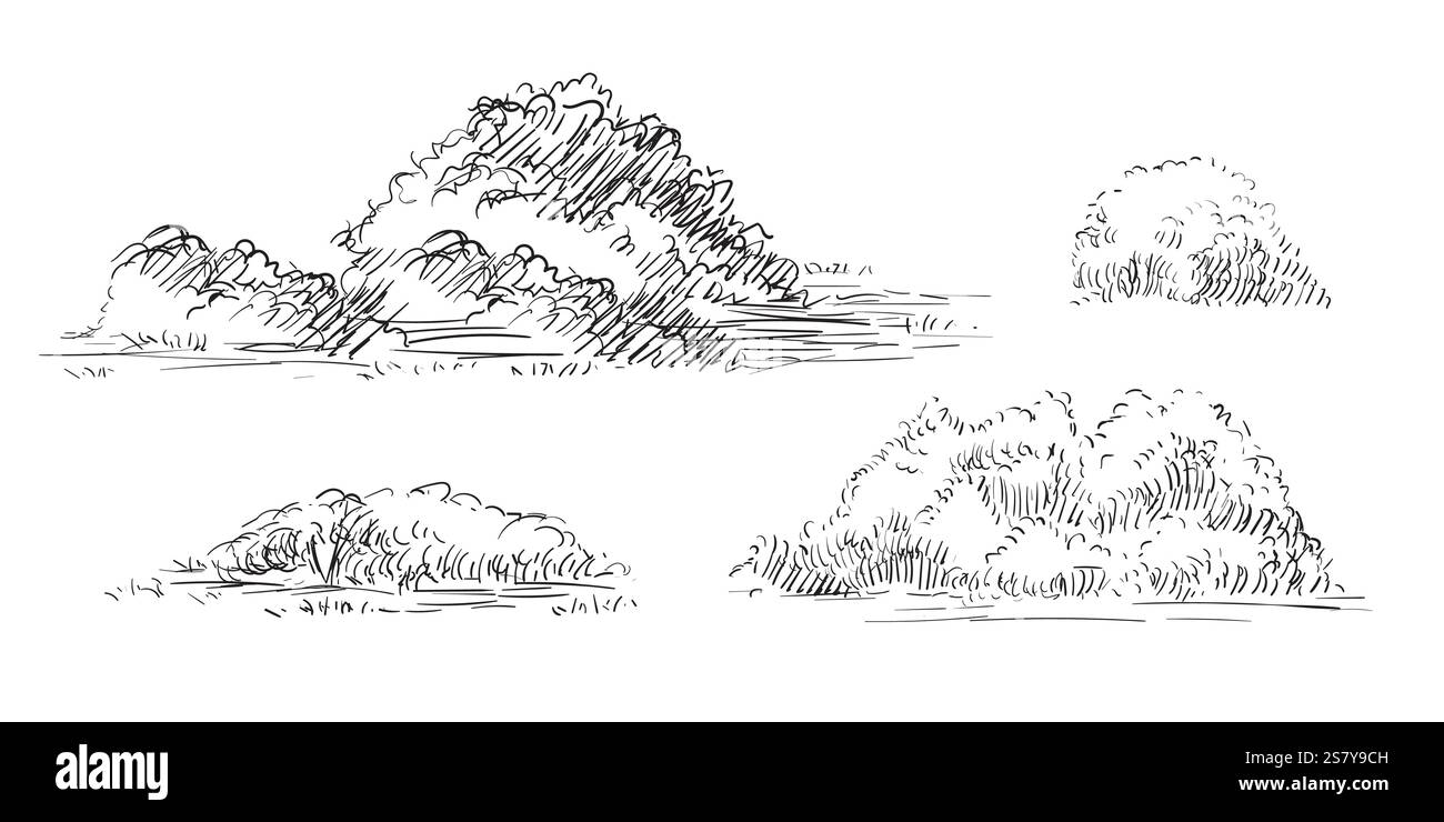 Hand drawing shrubs set vector illustration Stock Vector Image & Art ...