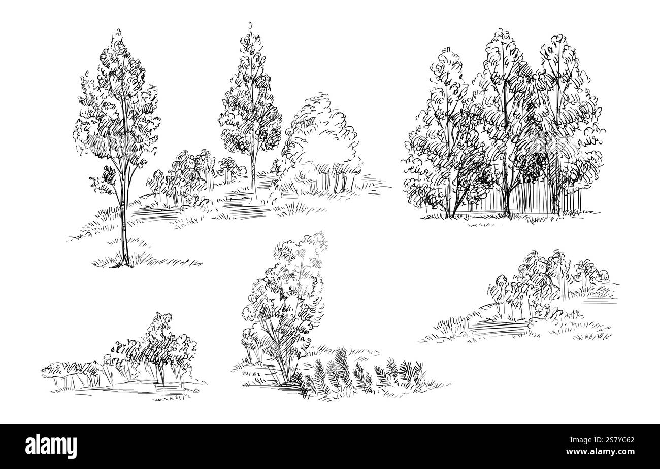 Hand drawing trees and shrubs set vector illustration Stock Vector ...