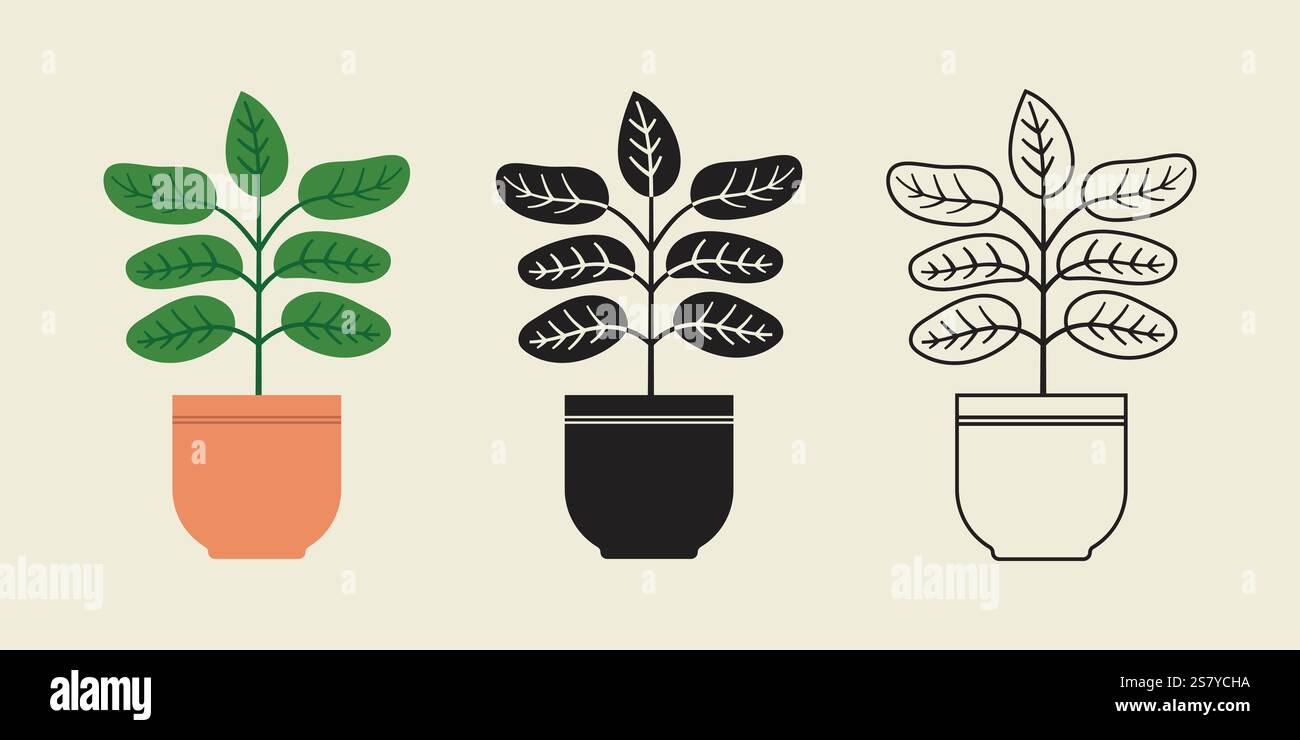 Indoor plant png hi-res stock photography and images - Alamy