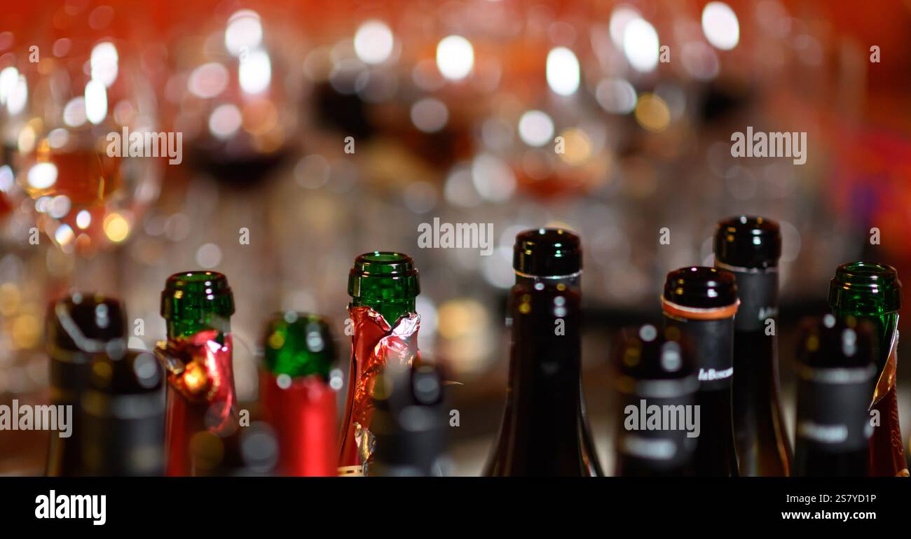 PRODUCTION - 20 January 2025, Saxony, Dresden: Empty bottles of wine ...