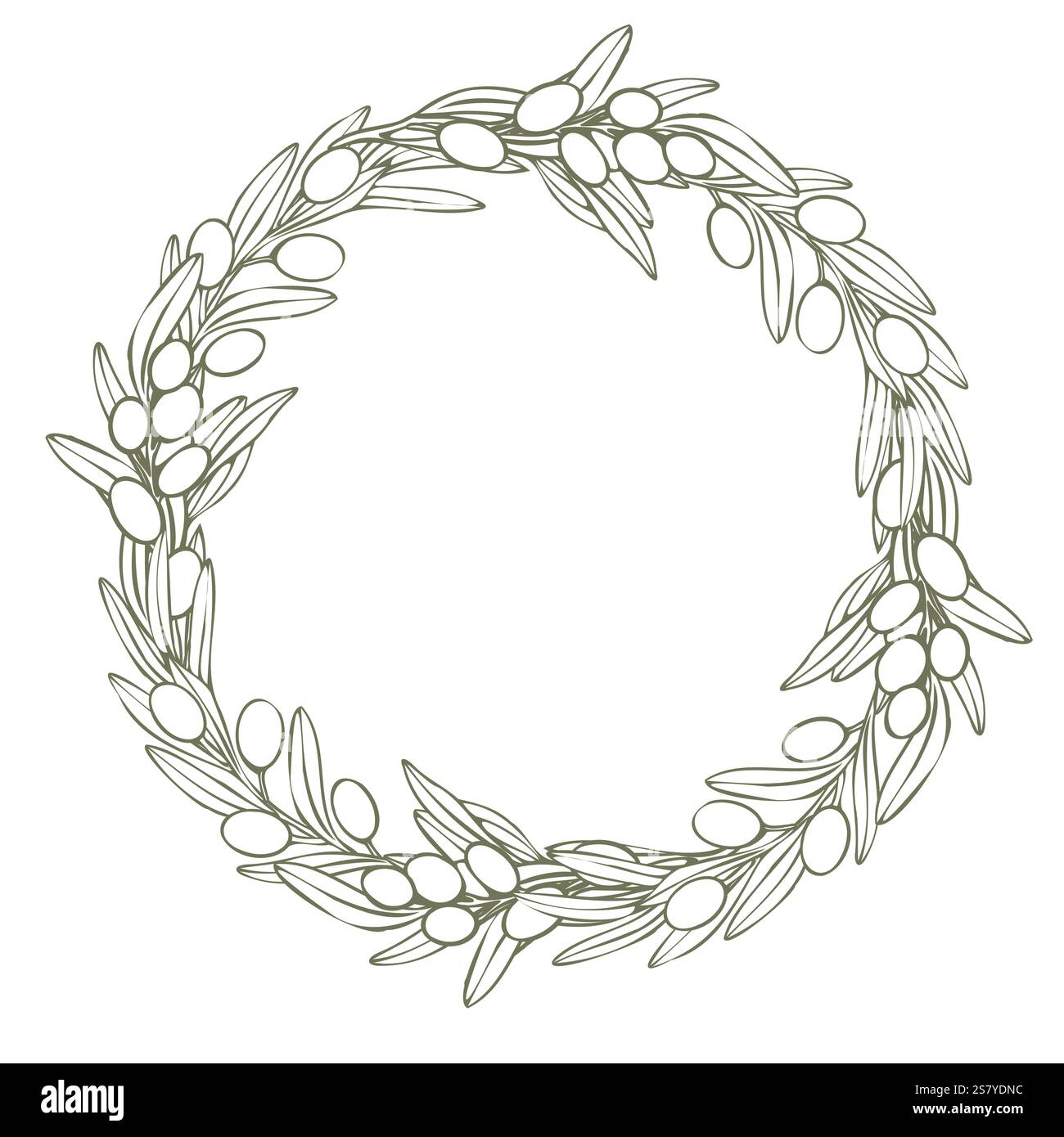 Hand drawn olive wreath illustration in vector style. Monochrome green ...