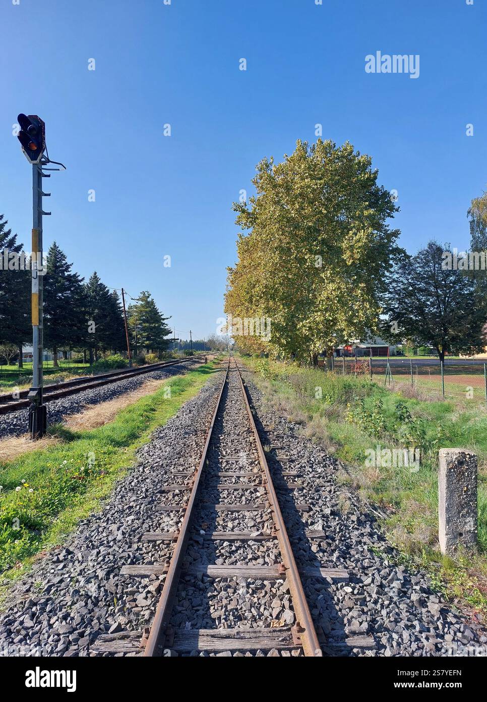 narrow and regular standard gauge railway tracks run side by side in ...