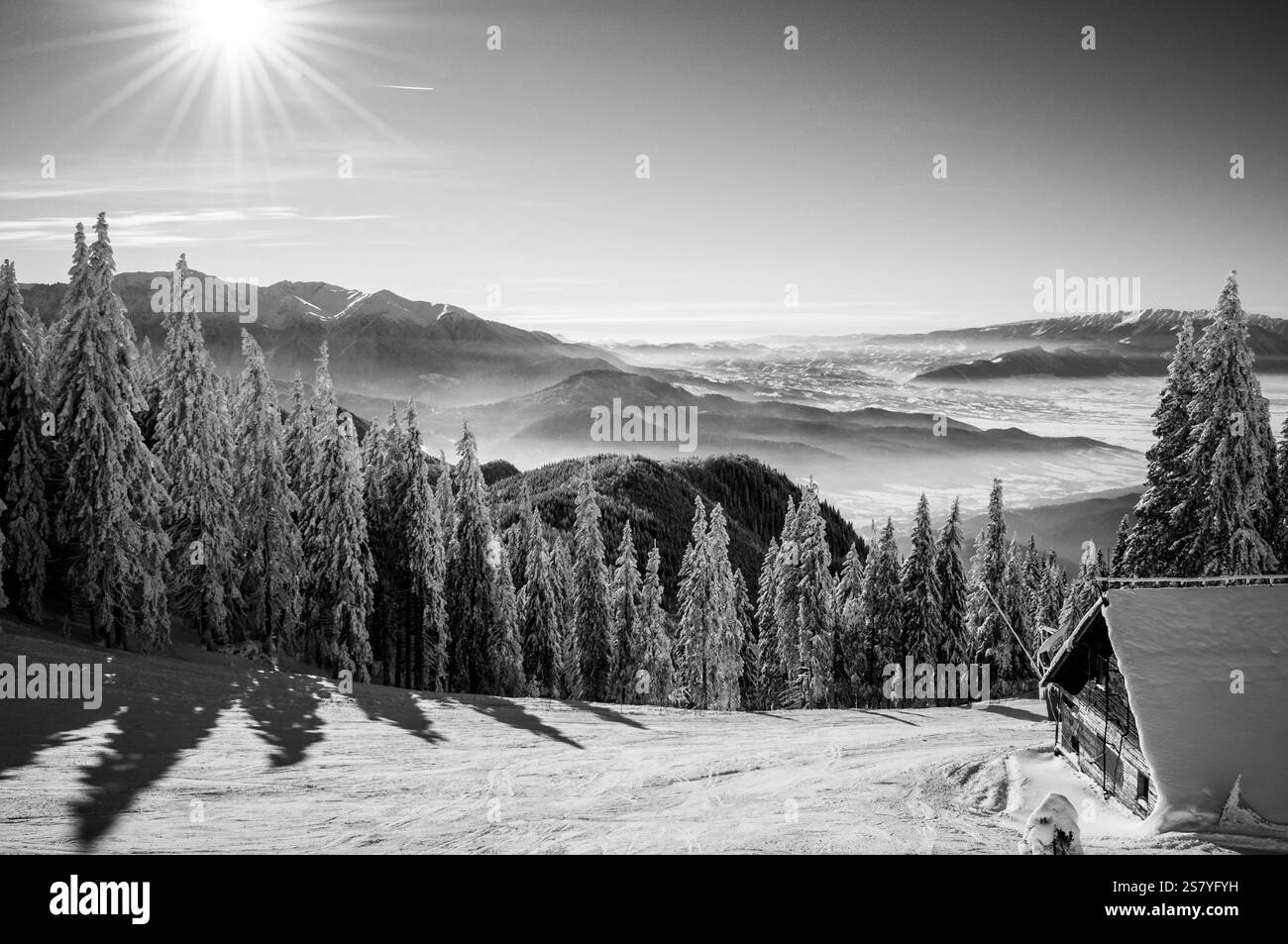 Sunburst winter Black and White Stock Photos & Images - Alamy