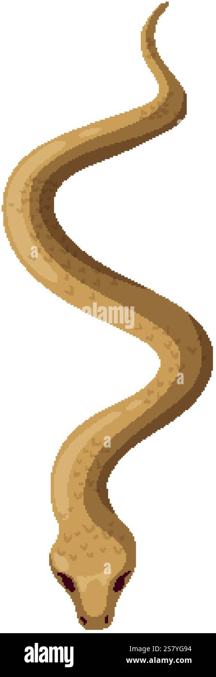 A detailed vector illustration of a snake Stock Vector Image & Art - Alamy
