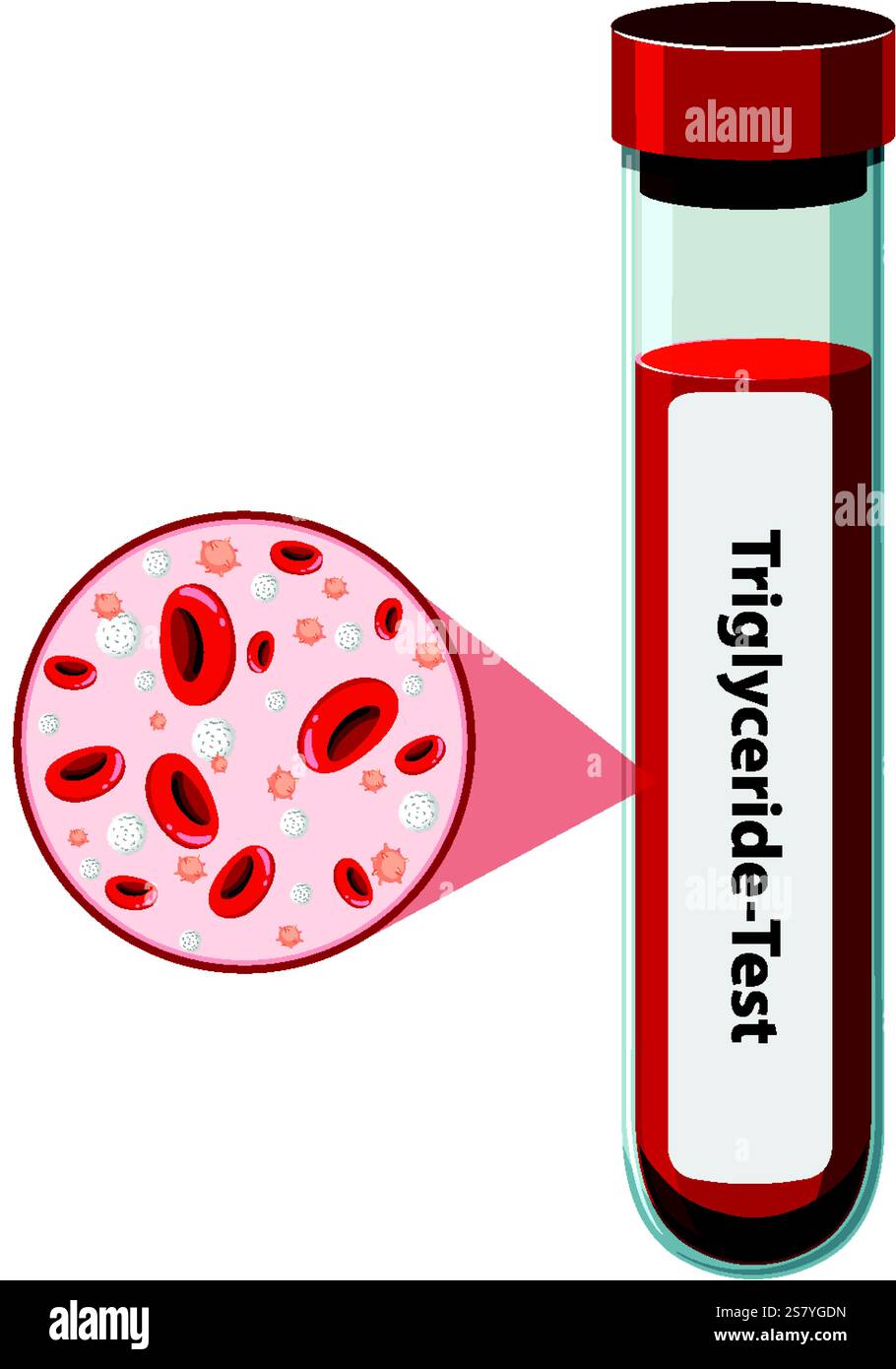 Triglycerides test Cut Out Stock Images & Pictures - Alamy