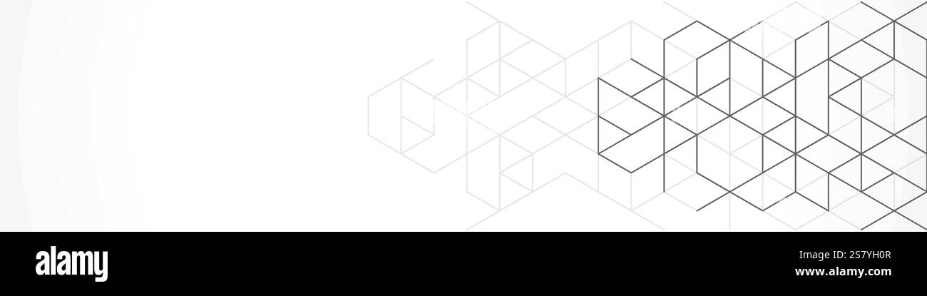 Panoramic view of abstract geometric background with hexagons shape ...