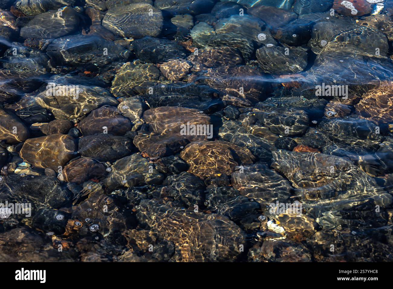 This close-up, top-down photograph captures a shallow body of water ...