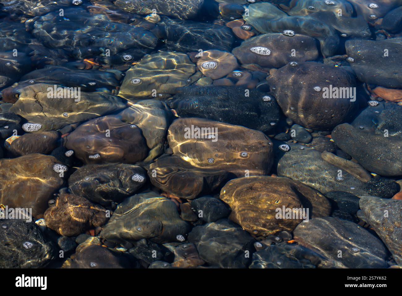 collection of smooth, rounded stones lies submerged in shallow, clear ...