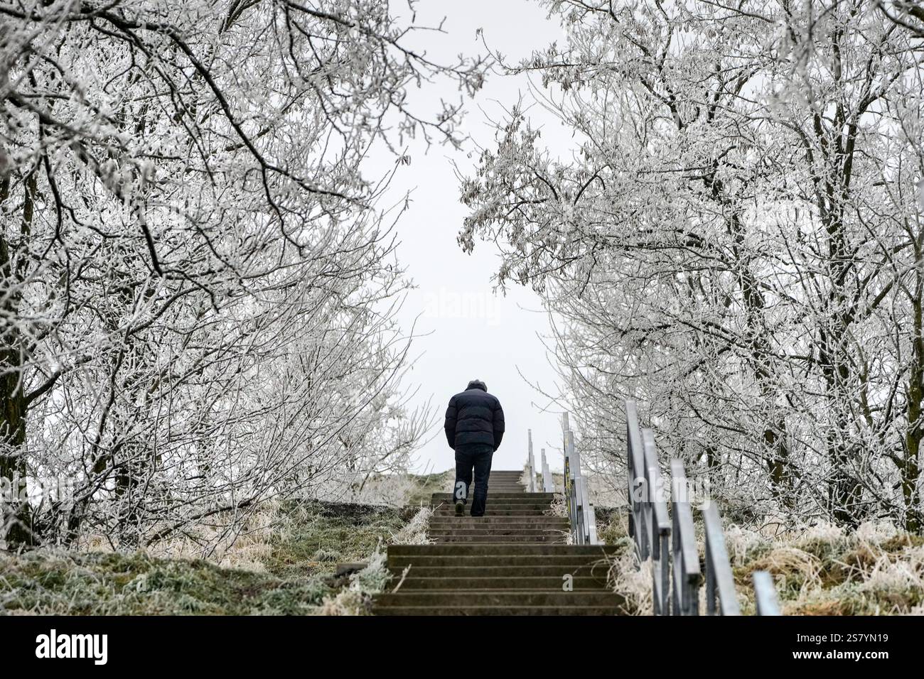 A man walks up stairs under empty white icy trees on a cold winter ...