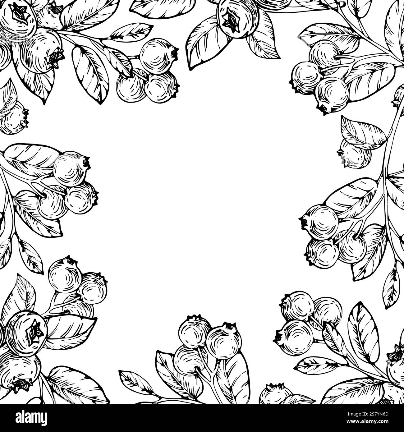 Dog bilberry vector black and white frame hand drawn with ink Stock ...