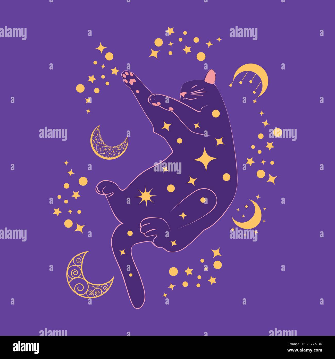 Mystical cat in boho style surrounded by stars, zodiac signs, balls ...