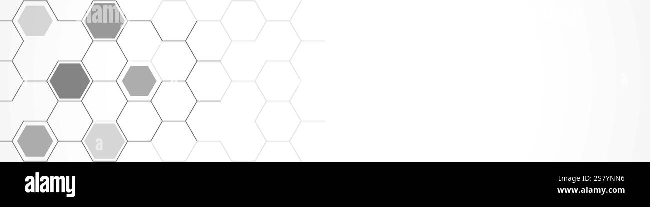 Panoramic view of abstract geometric background with hexagons shape ...