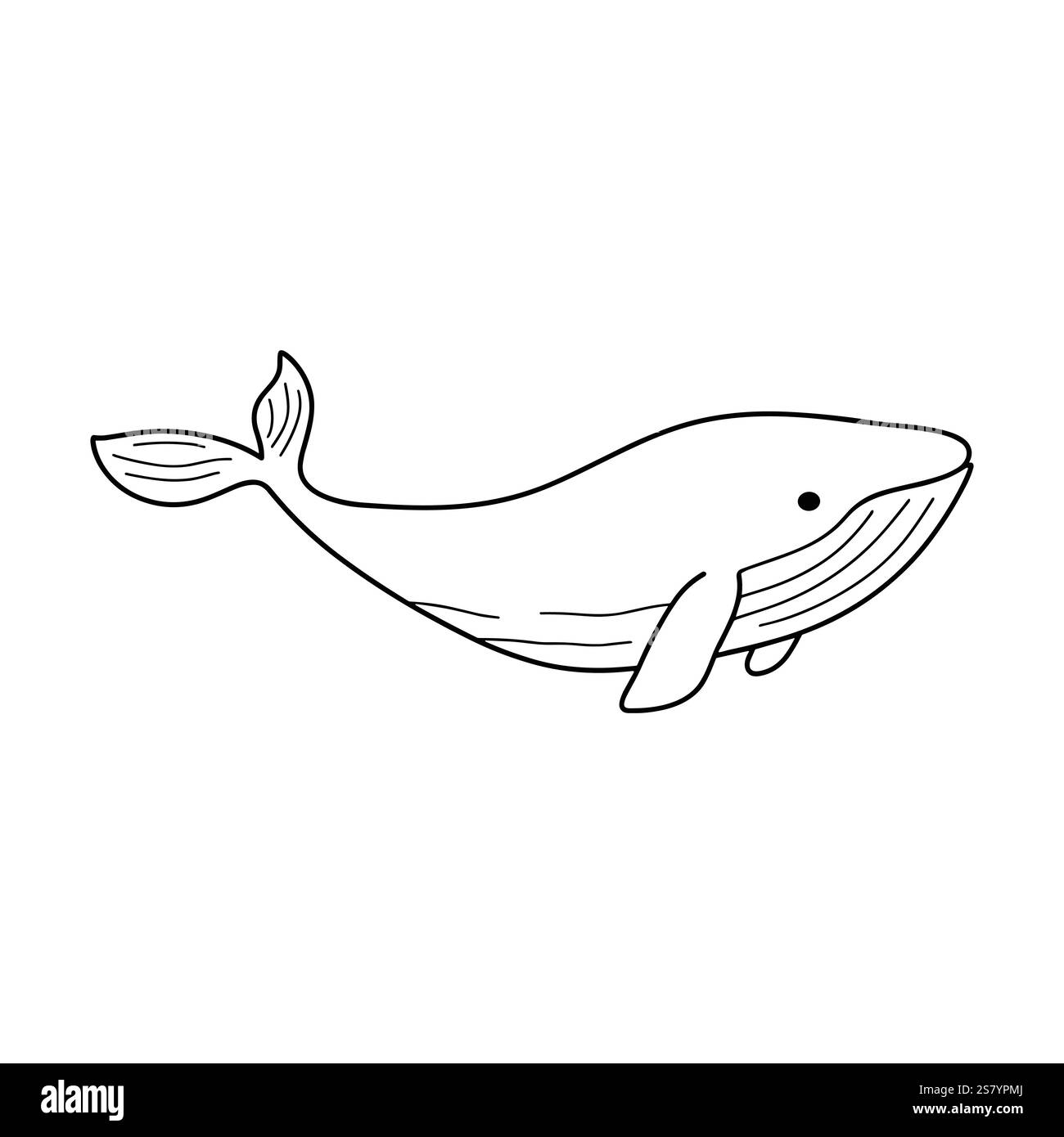 Whale outline icon. Hand drawn simple illustration for logo, coloring ...