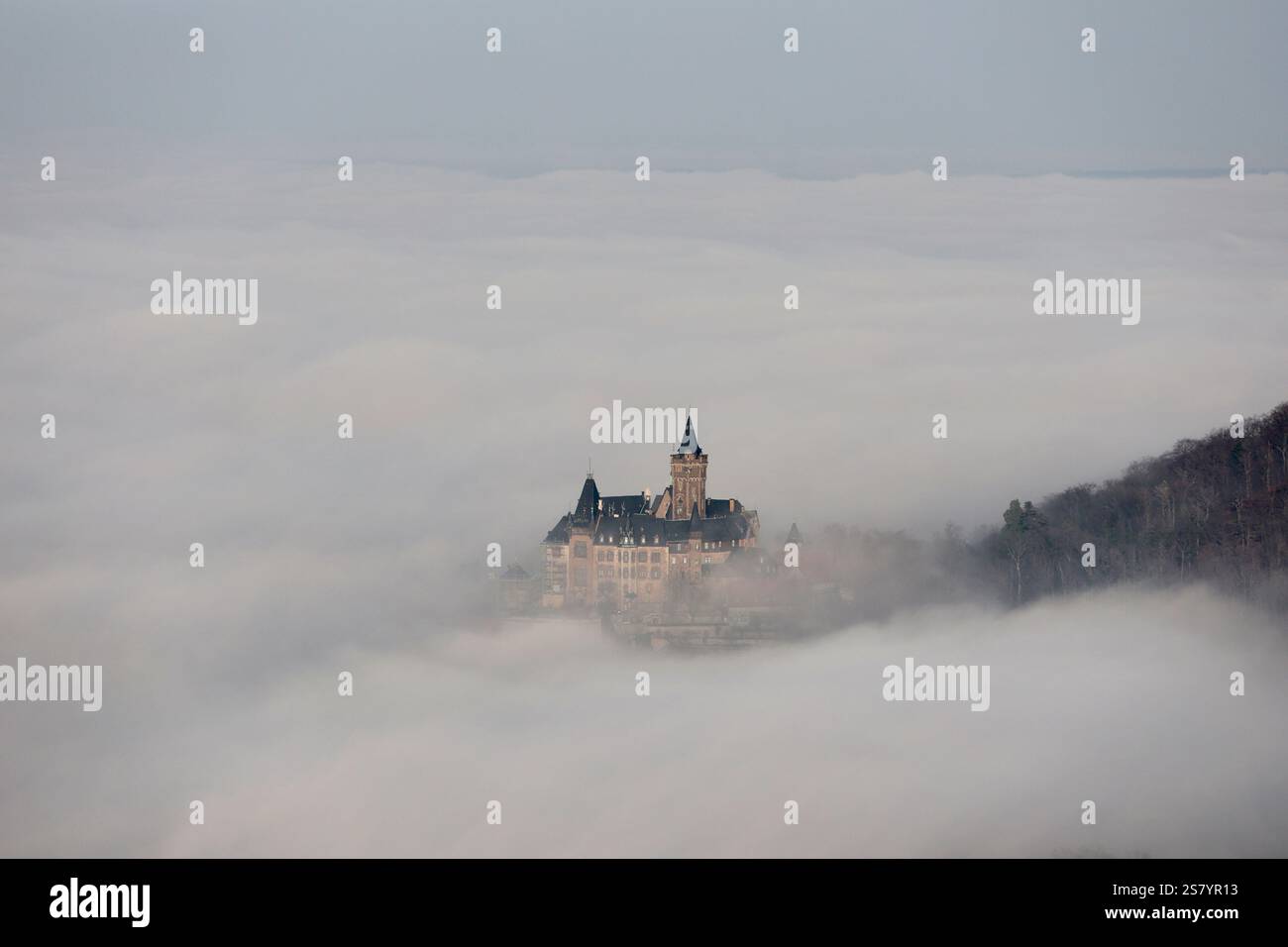 Wernigerode, Germany. 20th Jan, 2025. Wernigerode Castle towers above ...