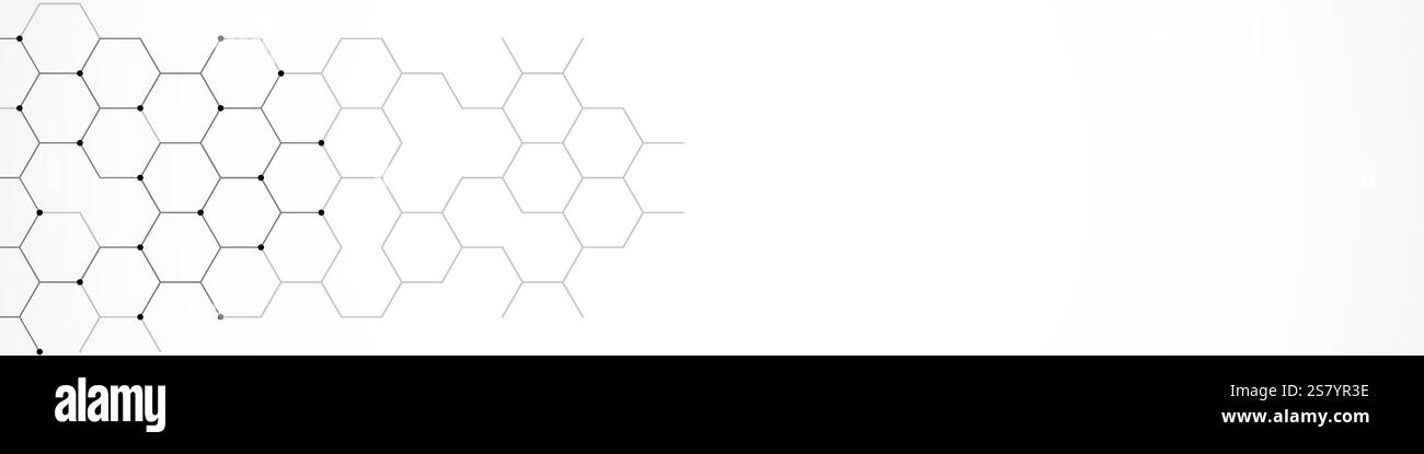 Panoramic view of abstract geometric background with hexagons shape ...