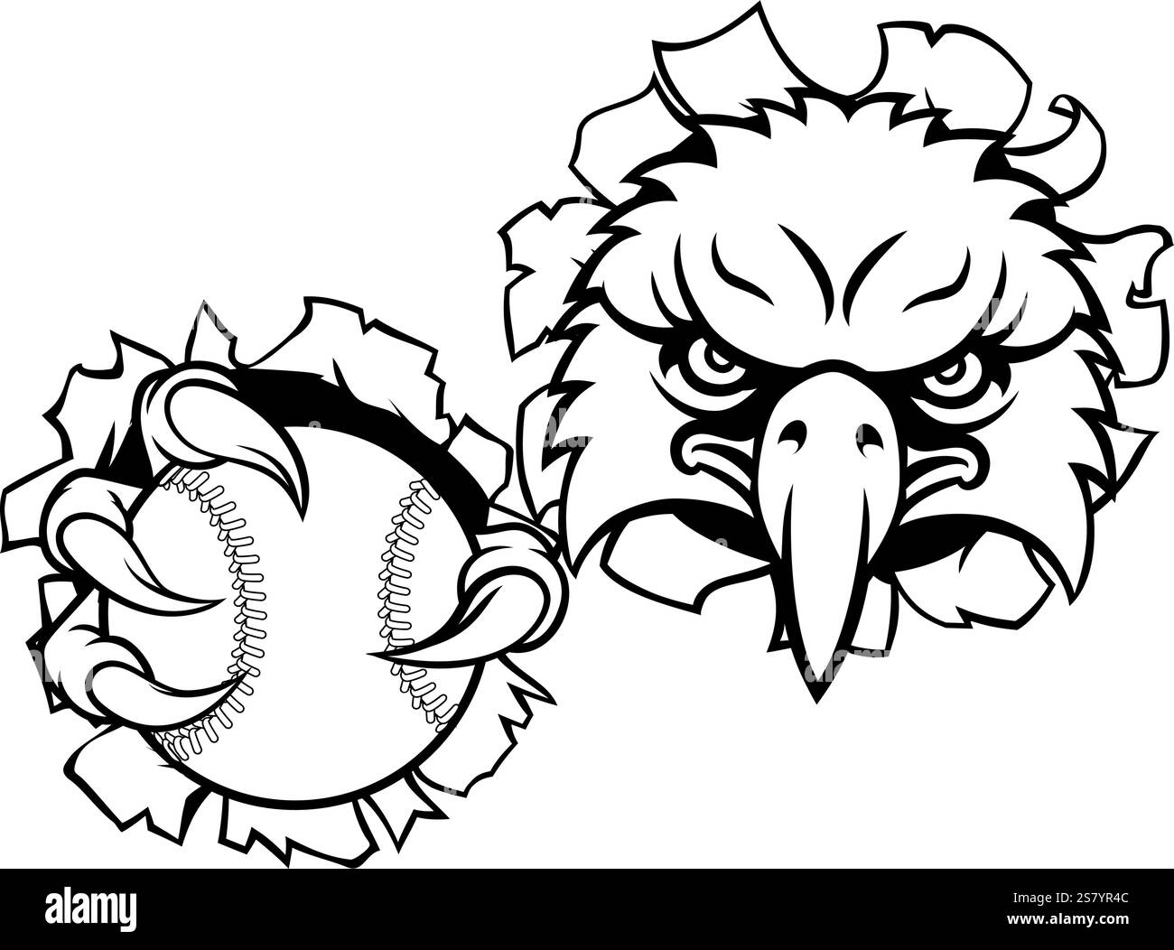 Eagle Hawk Baseball Softball Bald Eagles Mascot Stock Vector Image ...