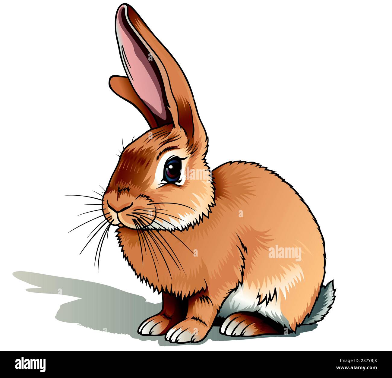 Colorful Illustration of Brown Cute Bunny Stock Vector Image & Art - Alamy