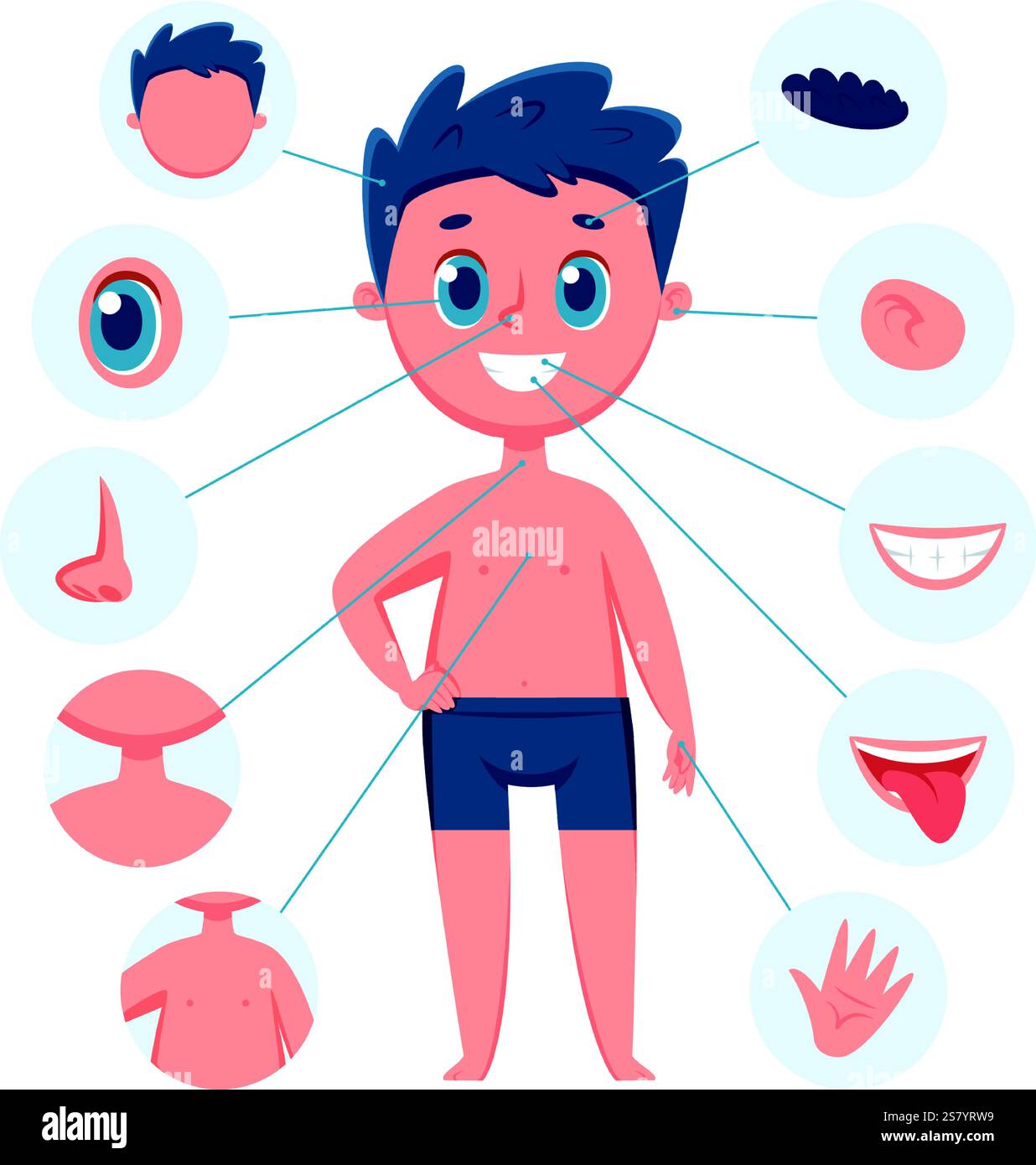 Educational anatomy infographic showing a smiling boy with lines ...