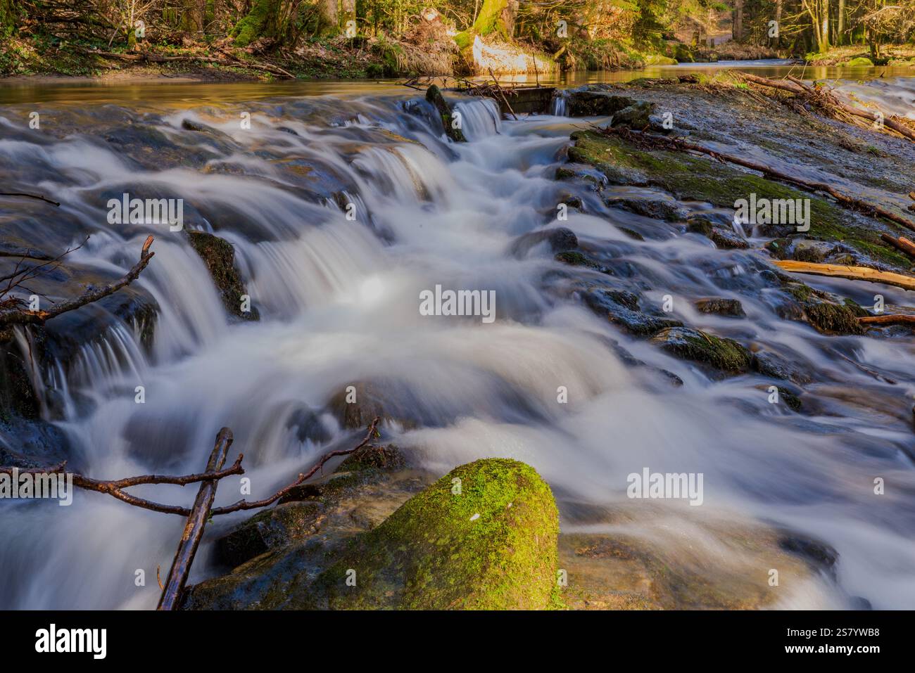 Flowing water cascades over moss-covered rocks in a serene forest ...