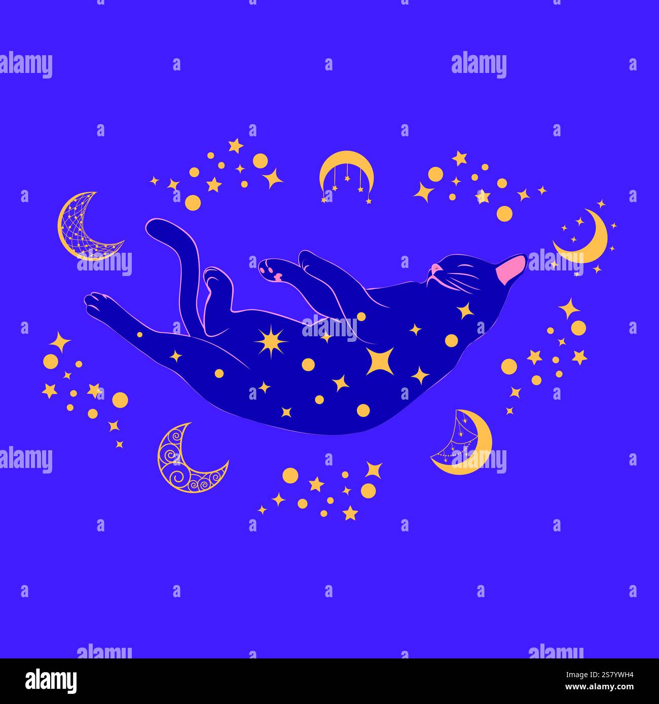 Mystical cat in boho style surrounded by stars, zodiac signs, balls ...