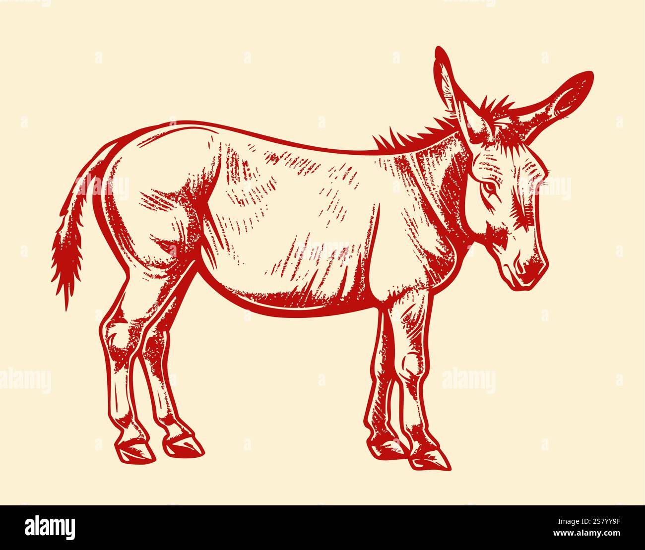 Donkey animal sketch hand drawn sketch, engraving style vector ...