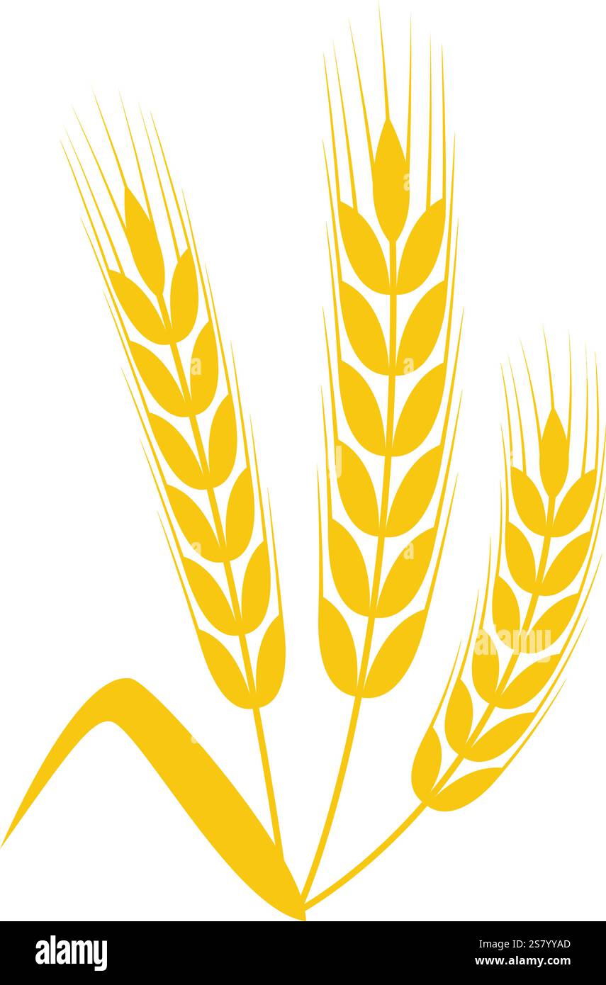 Three stylized wheat stalks are forming a simple composition, with a ...