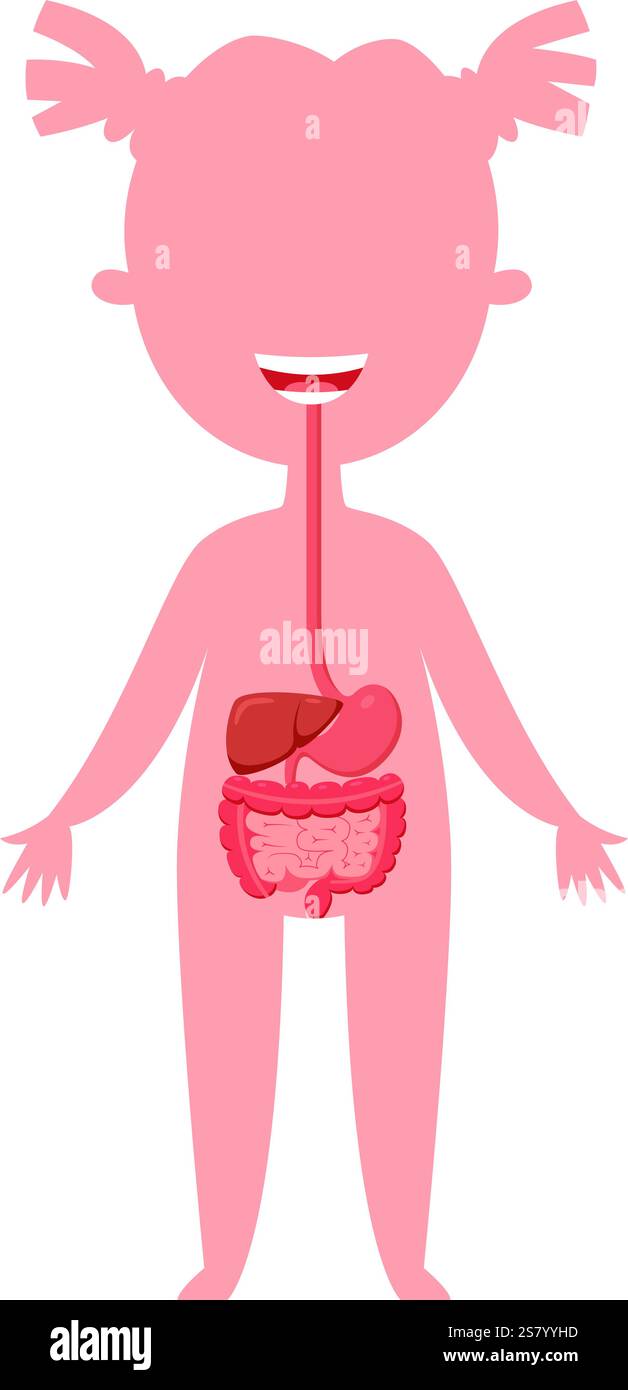Educational illustration of a smiling girl showing digestive system and ...