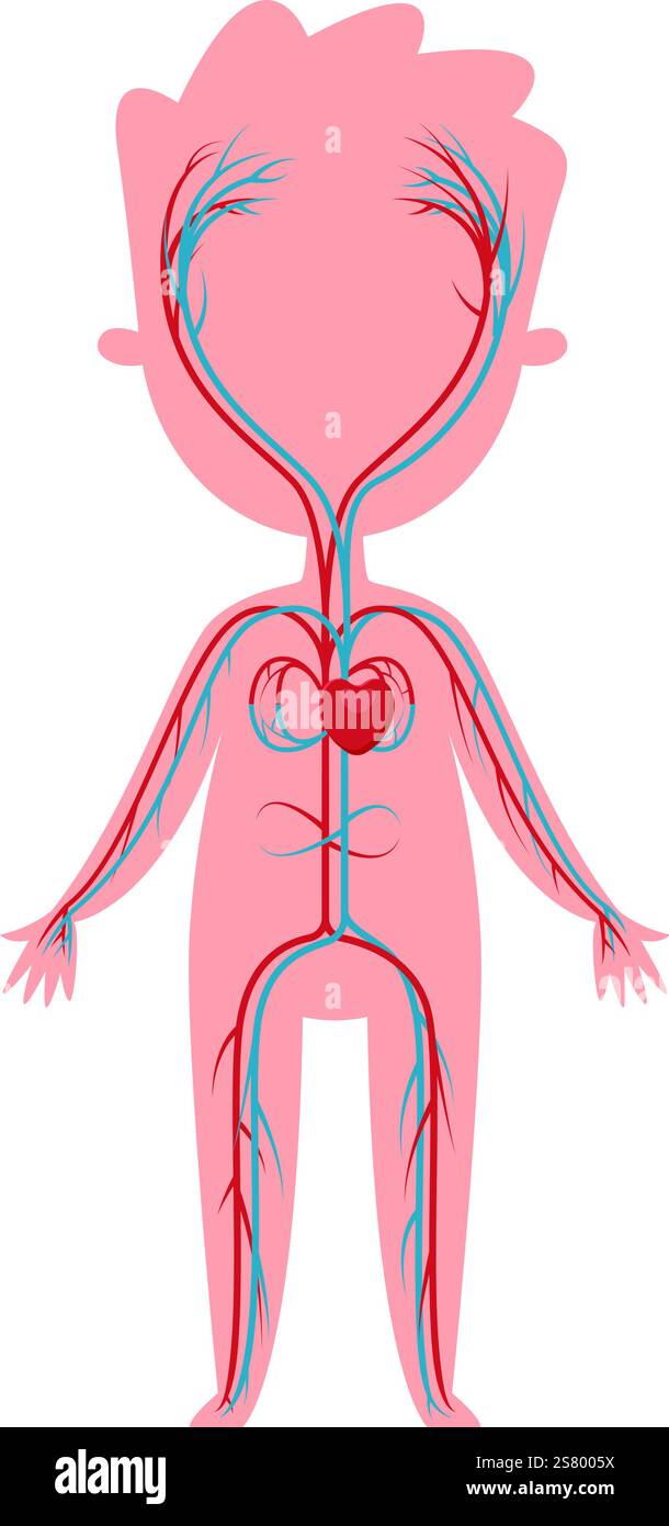 Illustration depicting the circulatory system with red arteries ...