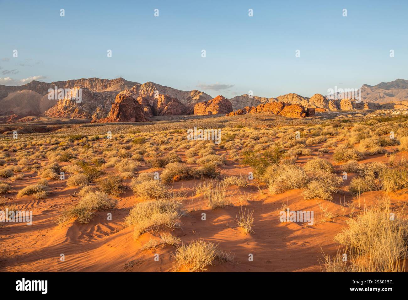 Gold butte national monument hi-res stock photography and images - Alamy