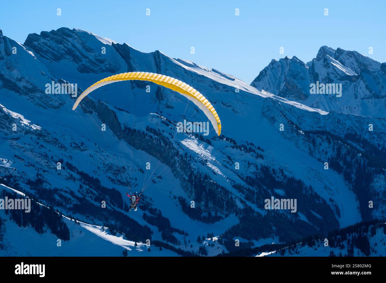 Yellow Paraglider Flying Over the Peaks of the French Alps - An Active ...