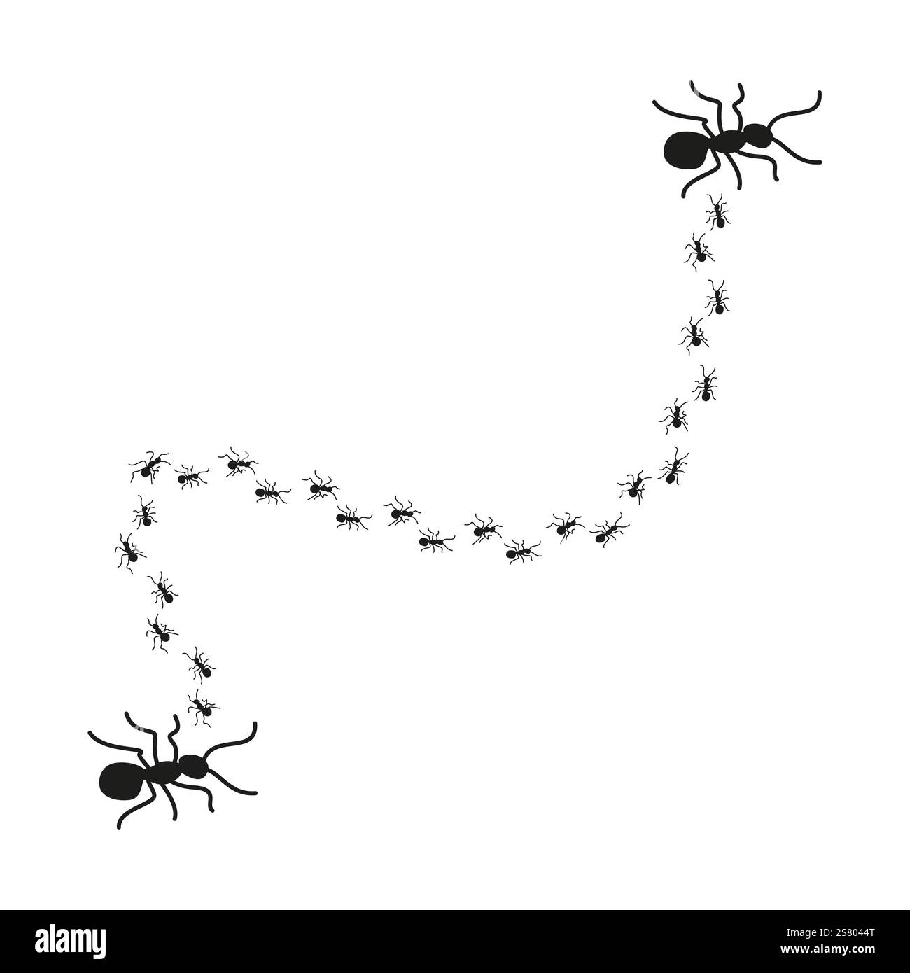 Ant trail design. Abstract vector pattern. Black marching ants. Nature ...